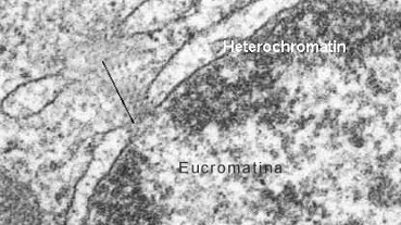 2 – BIOLOGÍA y GEOLOGÍA
