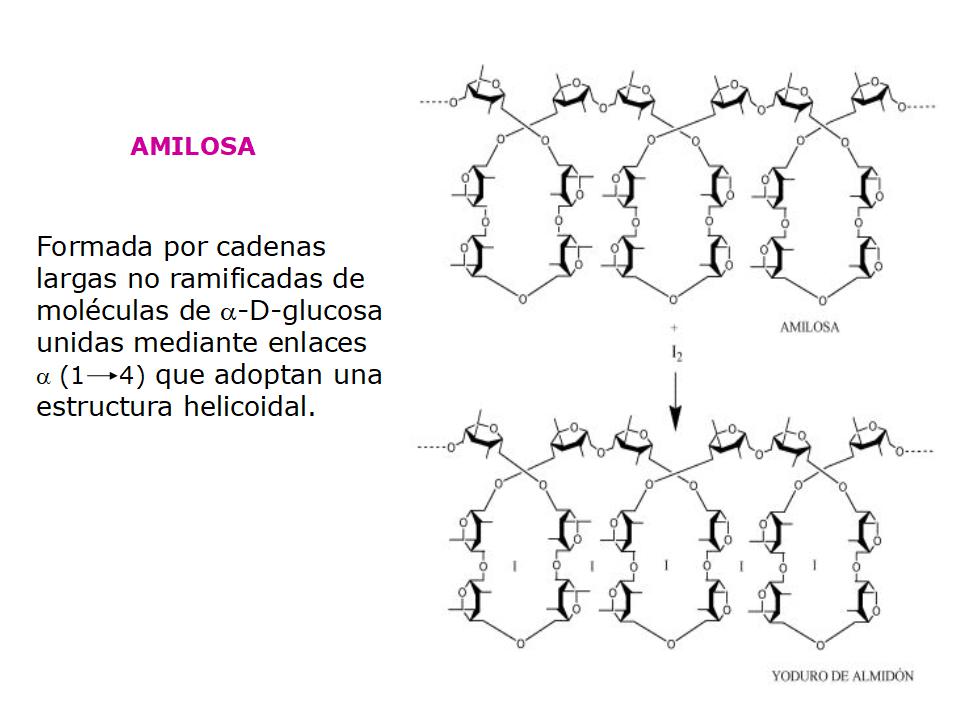 42 – BIOLOGÍA y GEOLOGÍA