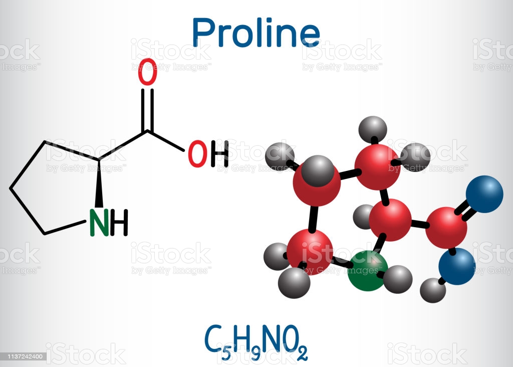 prolina-2 – BIOLOGÍA y GEOLOGÍA